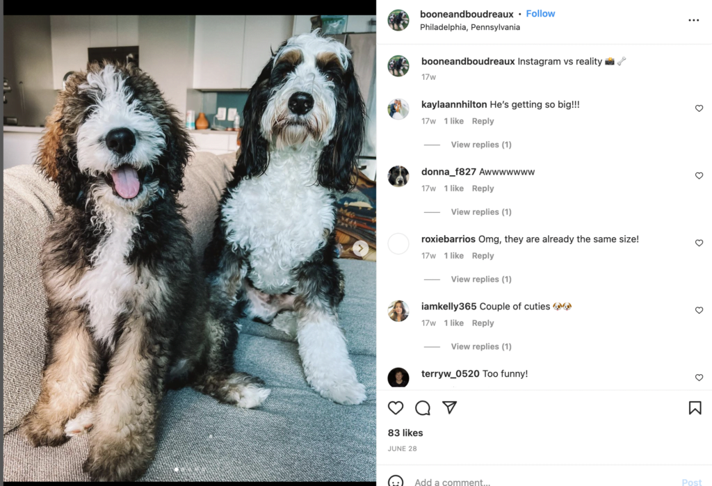 Aaron Nola Wife Hunter Harrington (Bio, Photos, Wiki)